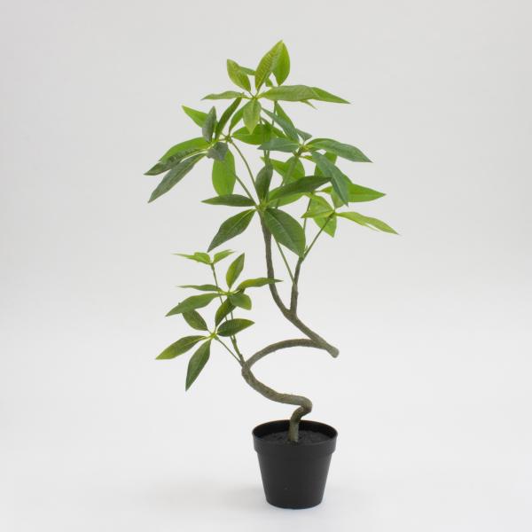 ■仕様・規格：本体(花器含む)=H60cm、花器=H10×W12cm■素材：本体=ポリエチレン（リサイクル）、花器=ポリプロピレン（リサイクル）■エコ商品について：アップサイクルの考えに基づき、再生素材を使用した環境にやさしい商品を提案した...