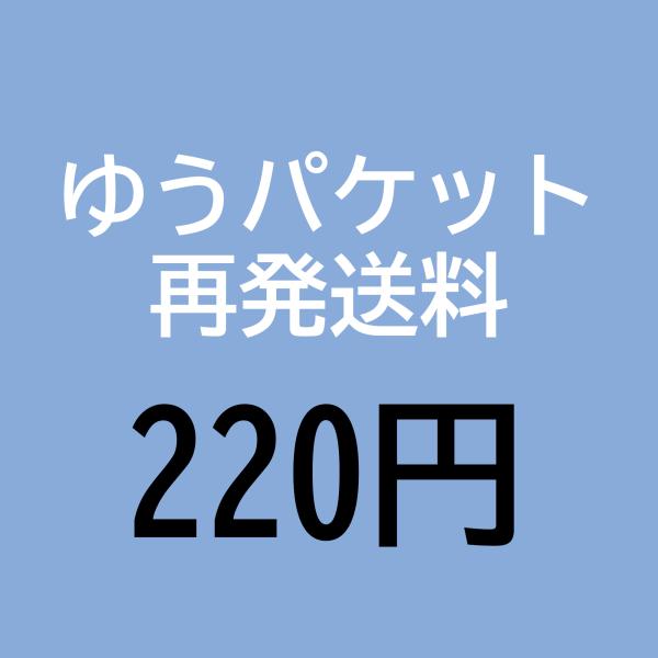 再発送料金　税込み220円【ゆうパケット】にて配送いたします。