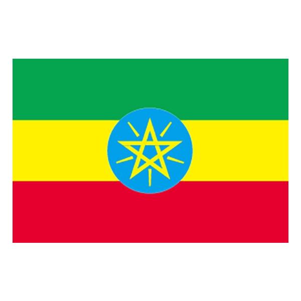 ※こちらの商品は、お取り寄せ商品の為、発送まで1週間ほどかかる場合があります。予めご了承くださいませ。・サイズ：幅157mm×高さ105mm・材　質：スエード・備　考：画面上と実物では若干色や形が異なる場合もあります。予めご了承下さい。