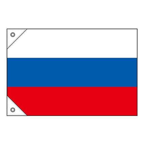 ※こちらの商品は、受注生産品の為、発送まで2週間ほどかかる場合があります。予めご了承くださいませ。・サイズ：幅450mm×高さ300mm・材　質：ポンジ・備　考：画面上と実物では若干色や形が異なる場合もあります。予めご了承下さい。