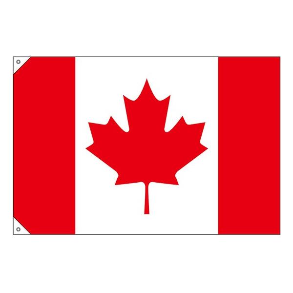 ※こちらの商品は、受注生産品の為、発送まで2週間ほどかかる場合があります。予めご了承くださいませ。・サイズ：幅1050mm×高さ700mm・材　質：ポンジ・備　考：画面上と実物では若干色や形が異なる場合もあります。予めご了承下さい。