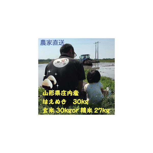 令和７年山形県庄内産はえぬき玄米30kgまたは精米27kg小分け、プラス料金精米無料●はえぬき●山形県民が一番食べている品種山形県の庶民的なお米コシヒカリやつや姫にも負けない美味しさ冷めても美味しいブレンド用に利用されることも多い品種※のし...