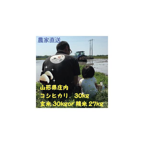 令和７年山形県庄内産　コシヒカリ　特別栽培米　玄米30kg（精米27kg）単一原料米大きめの粒、甘みあり、冷めても美味しい小分け可能10kg×3袋（白米9kg×3袋）精米無料当農場で田植えから乾燥まで行っておりますブレンドはしておりません土...