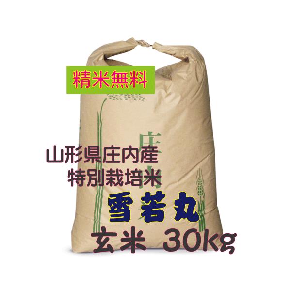 令和７年度　山形県庄内産　雪若丸　一等米　玄米30kg（精米27kg）単一原料米大きめの粒、噛み応えがあり、冷めても美味しい小分け可能10kg×3袋（白米9kg×3袋）期間限定精米無料当農場で田植えから乾燥まで行っておりますブレンドはしてお...