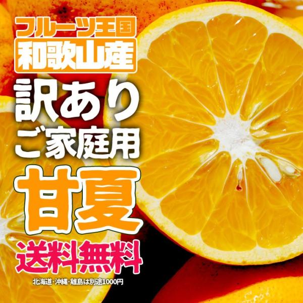 産地直送のお取り寄せ果物通販！和歌山より大人気の柑橘類甘夏！ナツミカンに比べて減酸が早く糖度が高い甘夏ミカン（カワノナツダイダイ）甘夏は、夏みかんより酸味が少なく甘さもあるのが特徴です。果汁が多くみずみずしく、スッキリとした甘酸っぱさは、初...