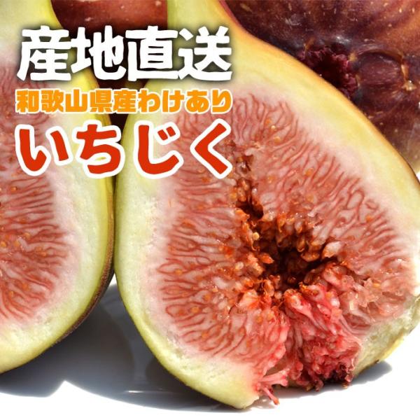 生産量全国第2位のいちじくの本場、和歌山県産わけあり無花果！不老長寿の果物とも呼ばれていたイチジクの歴史は長く、原産地に近いメソポタミアでは6千年以上前から栽培されていたことが知られている果物です。いちじくは水溶性食物繊維ペクチンが豊富で、...