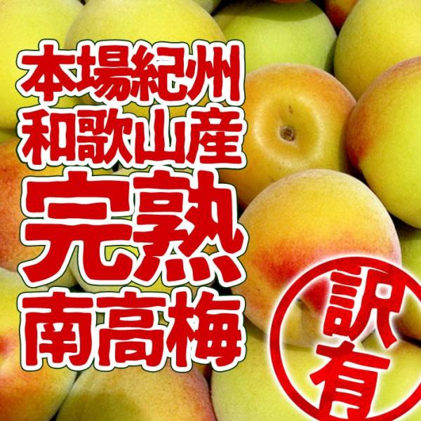 梅生産量日本一を誇る和歌山県を代表する品種で、和歌山の温暖な気候で育った完熟南高梅です。 和歌山の南高梅は果肉が厚くて柔らかいのが特徴の一つです。 梅干はもちろん梅酒、梅ジャム、梅ジュースなどにもお使いください。 規格・サイズ:Mサイズから...