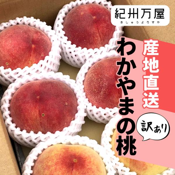 和歌山県産の日川、白鳳、嶺鳳（れいほう）、川中島等の品種の桃を産地直送でお届けします。一箱あたり約1.5kgで4〜8玉入り。ご家庭用の訳あり商品です。※品種の指定はできません。当店のお任せとなります。和歌山県は、西日本最大の産地。県内では紀...
