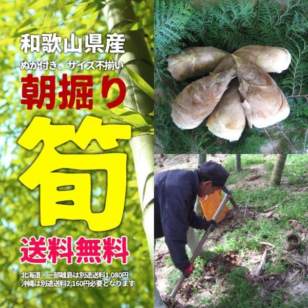 4月上中旬頃入荷予定、ご注文順に順次発送。天候上の都合、発送開始日が3月下旬になる場合もございます。和歌山県産朝掘りたけのこ！！農家さんが朝掘りしたたけのこをその日に発送致します。和歌山産の筍は色が白くて軟らかくて美味しいと評価も高く、福岡...