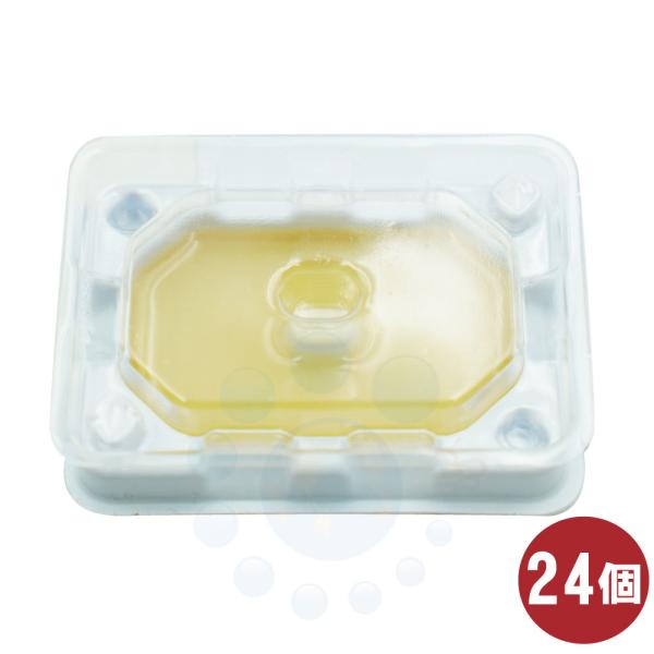 【商品名】トコジラミ調査トラップ ベッドバグスライダー BDS【内容量】24個セット【サイズ】幅51×長さ70×高さ16mm【重　量】約10g【対象害虫】トコジラミ【生産国】アメリカ製【単品JAN】4582309516063【商品特長】◆ト...