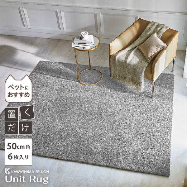 【なくなり次第終了】メーカー廃番品のため大特価！川島織物セルコン ユニットラグソフティライン　UR1601 GR■ブランド名：川島織物セルコン■生産国：日本■サイズ：50×50cm■梱包　：1ケース6枚（1.5平米）＜ご注意＞■1ケース単位...