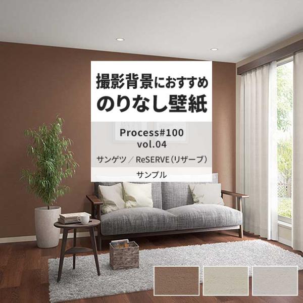 Process#100 vol.04・サイズ約A4サイズ※サンプルのため柄の入り方などご指定いただけません。・枚数についてお一人様１品番につき、１点までのご購入となります。※サンプルは、お一人様合計20枚まででお願いいたします。ご了承くださ...