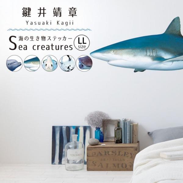 水中写真家の鍵井靖章さんが世界中の海で出会った生き物たちが、気軽にお部屋の壁に貼ることができるウォールステッカーになりました。貼ってはがせるシールタイプなので、お風呂やガラス面等、色々なところに貼ってお部屋の中で海中気分を楽しんでいただけま...