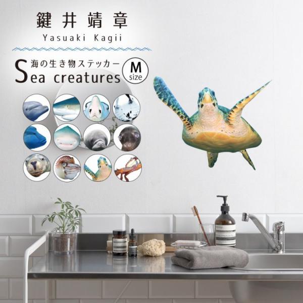 水中写真家の鍵井靖章さんが世界中の海で出会った生き物たちが、気軽にお部屋の壁に貼ることができるウォールステッカーになりました。貼ってはがせるシールタイプなので、お風呂やガラス面等、色々なところに貼ってお部屋の中で海中気分を楽しんでいただけま...