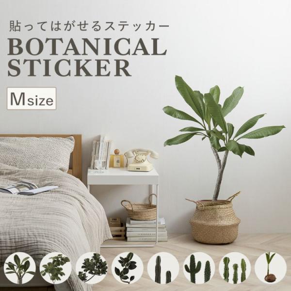 賃貸OK！貼ってはがせる植物ステッカーが登場！スペースがないお部屋やペットがいる環境でも、貼るだけで手軽にお部屋で緑を楽しめます。▼サイズ・貼れる下地・施工上の注意点スライド画像または商品情報をご確認ください。▼素材表：塩化ビニール裏：粘着...