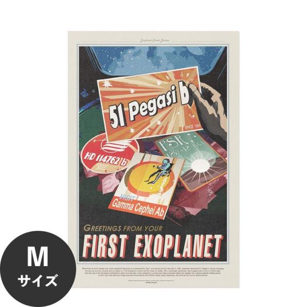 世界中のパブリックドメインの美術作品・アートの中からスタッフが厳選したデザインをアートポスターにしました！賃貸OK◎ 水に浸すだけで貼れて剥がせてまた貼れる、画鋲やテープ跡を気にせずポスターが楽しめます。初めての施工にもおすすめ。■ペガスス...