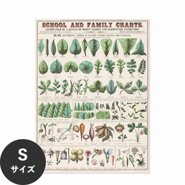 世界中の美術・芸術作品の中から厳選したデザインをアートポスターにしました！賃貸OK◎ 水に浸すだけで貼れて剥がせる、画鋲やテープ跡を気にせずポスターが楽しめます。■NO. XIX. BOTANICAL : FORMS OF LEAVES, ...