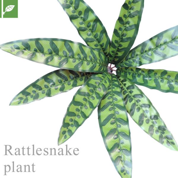 DIY RESTA リスタ 新生活 爆買 壁面緑化 フェイクグリーン グリーンウォール 人工芝 壁掛けグリーン 壁diy【商品説明】磁石で簡単取付！立体的でリアルなフェイクグリーンで壁面緑化DIY！【商品名】壁面緑化 マグネット式壁面装飾 ...