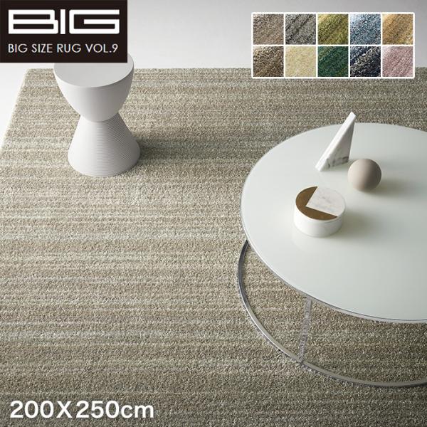 DIY RESTA リスタ 新生活 爆買 送料無料 ビッグサイズラグ カーペット BIGSIZERUG BIG SIZE RUG ラグカーペット 高品質 高級 無地 絨毯 防ダニ加工 遊び毛防止 ホットカーペット 床暖対応 床暖房 F☆☆☆...