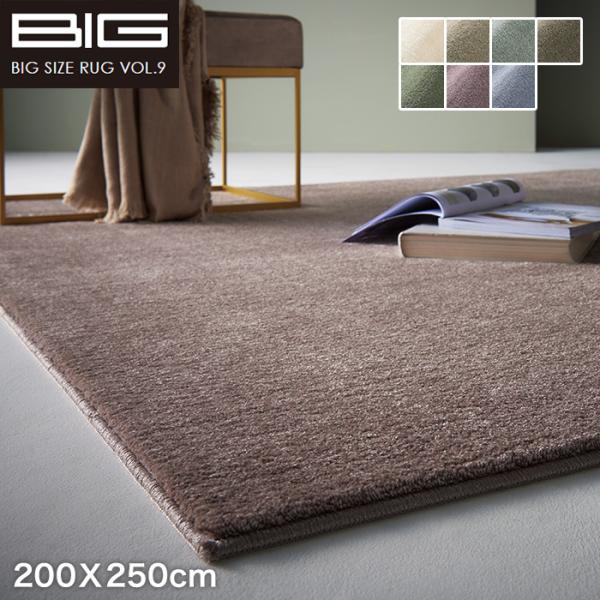DIY RESTA リスタ 新生活 爆買 送料無料 ビッグサイズラグ カーペット BIGSIZERUG BIG SIZE RUG ラグカーペット 高品質 高級 無地 絨毯 防ダニ加工 遊び毛防止 ホットカーペット 床暖対応 床暖房 F☆☆☆...