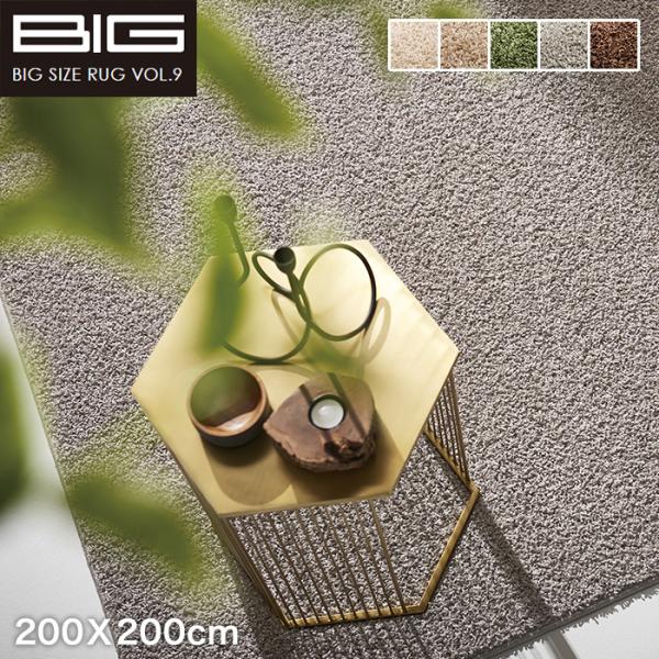 DIY RESTA リスタ 新生活 爆買 送料無料 ビッグサイズラグ カーペット BIGSIZERUG BIG SIZE RUG ラグカーペット 高品質 高級 無地 絨毯 防ダニ加工 アレルブロック 遊び毛防止 ホットカーペット 床暖対応 ...