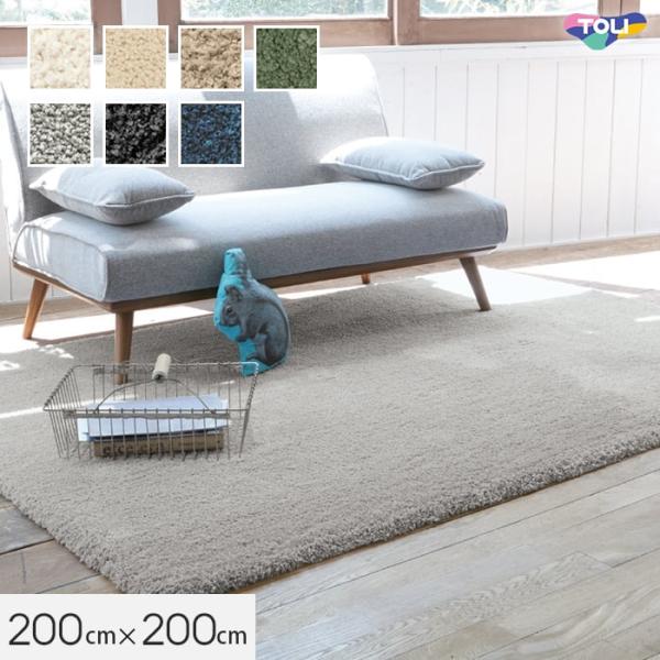 DIY RESTA リスタ 新生活 爆買 送料無料 bizゼロ便 TOLI ラグ カーペット ラグカーペット 高級ラグカーペット 防ダニ 床暖 床暖房可 【商品説明】オシャレなラグカーペットでリビングを快適に。【商品名】ラグカーペット ラグ...
