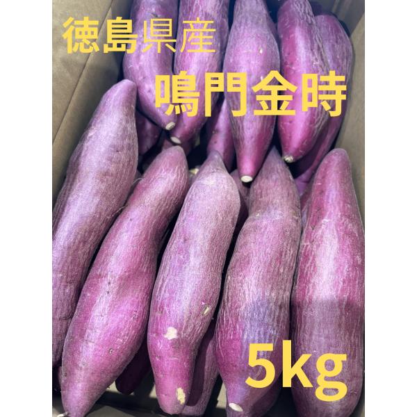 時期によって販売金額が変動致します。M/Lサイズ、5kg 御注文頂いてから5日以内に発送致します。段ボールでの発送となります。佐川常温での配達となります。上品な甘さと栗のようなホクホク感、後味の良い甘みが特徴です。Mサイズは焼き芋に最適。L...