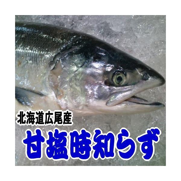 北海道の春の旬『時しらず』。当店の時鮭は北海道産の定置網で水揚げされ、船上で活ジメしたもののみを加工しています。脂のりはもちろんのこと、鮮度も最高です。【内容量】時鮭半身分（1尾2.５キロ前後の時鮭を加工）切り身：１２切前後（2切れ、3切れ...