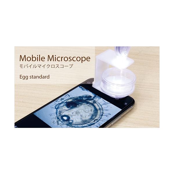 「教材・教育」ジャンルのものは、商品によっては、袋や箱などで包装されていなかったり、商品タグの無い状態で入荷するものがございます。その際は、当店で用意した個包装の袋などに入れて発送させて頂きます。また、サイズの大きい商品など袋に入らないもの...