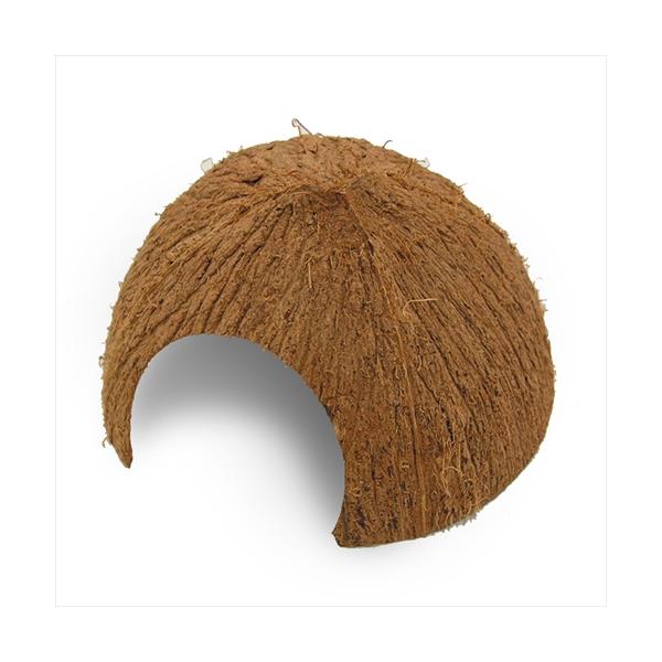 ・オカヤドカリは暗い場所に隠れることが大好きです。天然のヤシの実の「ココナッツハウス」でリラックスできる場所をつくってあげましょう。