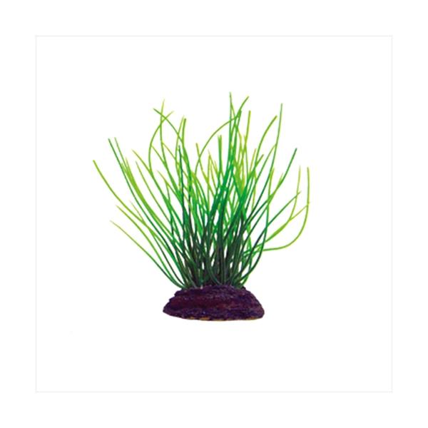 水槽を鮮やかに彩るアクセサリー。メンテナンス不要の枯れない人工水草です。人工だから、いつまでも色落ちしなくて鮮やか！