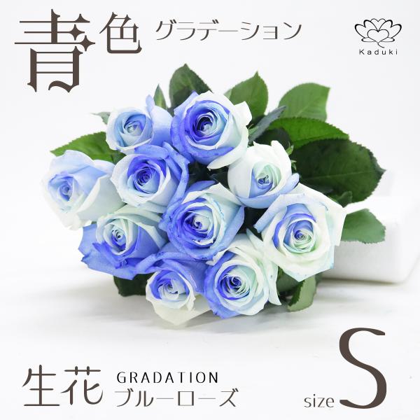 当店オリジナルカラーのブルーローズグラデーション(S)サイズ 生花バラ花束、商品数量１でバラ１本です（10本〜がオススメです、9本以下はバラが短くなります) とてもレアなブルーローズです。高品質な国産バラ使用で長くお楽しみいただけます。安心...