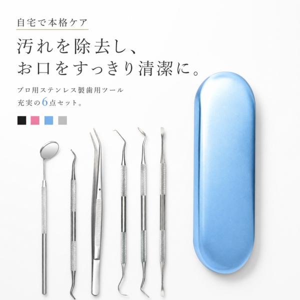 サイズ：6点セット（歯用ミラー、鎌形ツールｘ3、鍬型ツール、ピンセット）