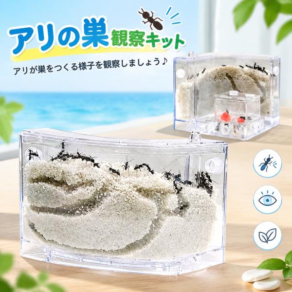 アリの巣　あり観察キット　飼育ケース　砂　自由研究 小学生 あり 蟻 飼育セット 実験セット 観察　夏休み　学習用アリの巣　あり観察キット　アリの巣観察キット　アリ　巣　観察　飼育ケース　砂　自由研究 小学生 キット あり 蟻 飼育セット ...