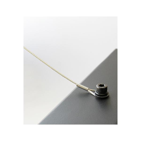 オプション品の単体購入の場合、別途送料が発生いたしますのでご注意ください。 ※本体と購入・納入で送料無料となります。(一部地域除く)転倒防止ワイヤー  壁とモニタワーをワイヤーでつなぎます。   ■ 仕様寸法：φ2mm×L450mm破断荷重...