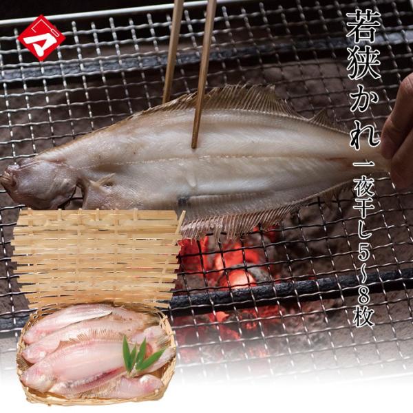 若狭湾でとれた本物の  若狭がれい 皇室献上の逸品　地元では「甘がれい」と呼ばれています■商品情報商品名：若狭かれいの一夜干し内容量（製造時）：5〜8枚入り原材料　：若狭鰈・天然塩原産地　：若狭湾沿岸・山陰消費期限：要冷蔵・販売日より5日目...