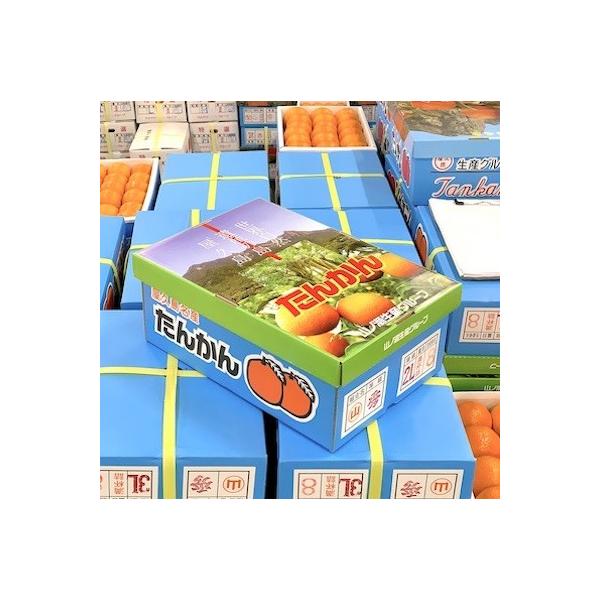 ■名称屋久島たんかん ■産地鹿児島県屋久島■内容量5kg■送料送料無料 ※別途、北海道650円／東北300円の送料がかかります。■お届け日の目安3〜4営業日以内 日時指定は不可■保存方法高温多湿を避けて保存してください。■検索キーワードみか...