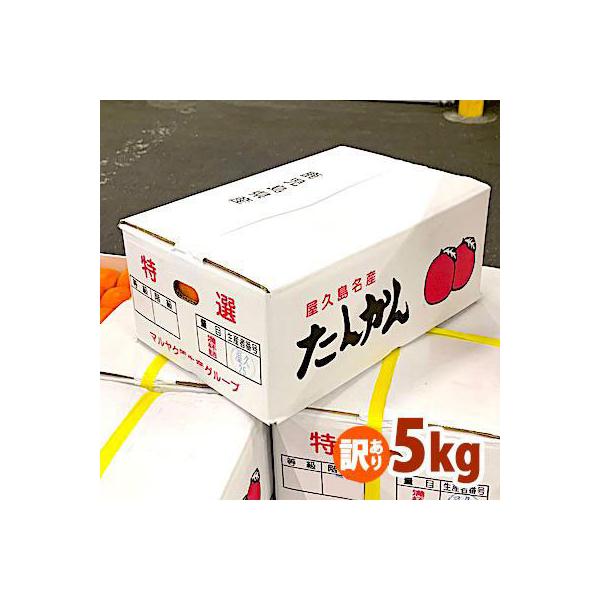 訳あり ご家庭用に色ムラ傷ありますが商品は新鮮なタンカンです。見た目は傷あり訳ありですが味、品質には問題ありません。出荷前検品済み■名称訳あり 屋久島たんかん ■産地鹿児島県屋久島■内容量5kg■送料送料無料 ※別途、北海道650円／東北3...