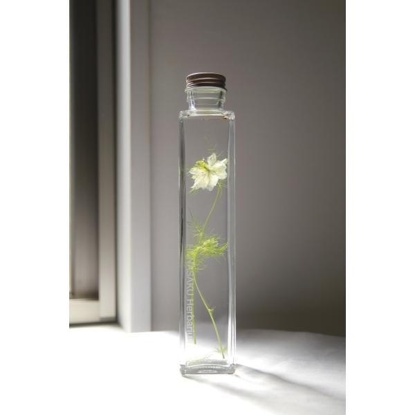 ニゲラの花言葉は、「密かな喜び」ドライフラワーにしてもお洒落なこの花細葉が美しく、ハ―バリウムにしても美しい葉のフォルムを愛でることが出来ます特別な手法でお作りした「花咲くハ―バリウム」他では買うことができません専用オイルに封入した、まるで...