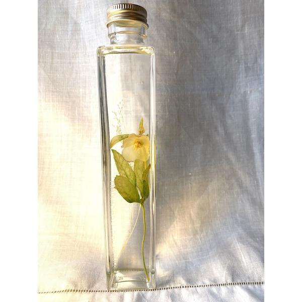 特別な手法でお作りした「花咲くハ―バリウム」他では買うことができませんクリスマスローズ専門ナーセリークリスマスローズのパイオニア　クリスマスローズ生産者、ハ―バリウム小輪タイプを育種しているからこそ！花郷園ならではの商品です。専用オイルに封...