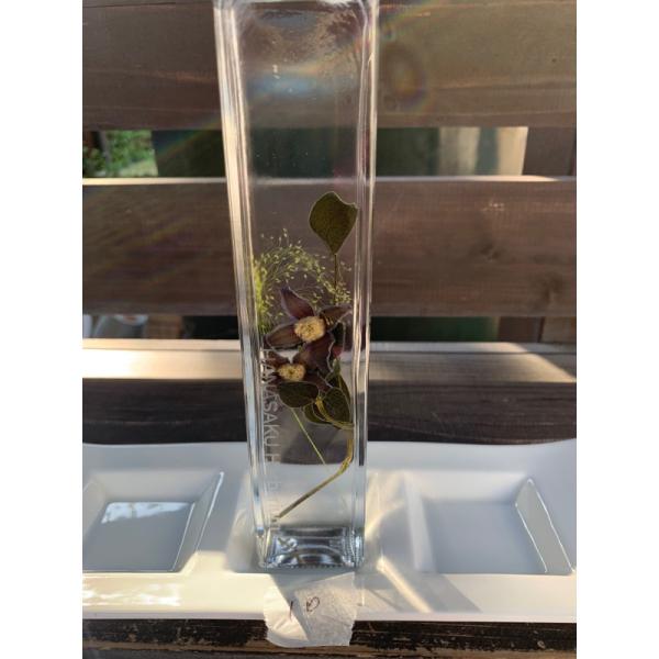 クレマチスキンポウゲ科の愛らしい花を一輪挿しのように、一年中お楽しみいただけます。クレマチスの花咲く様子を花咲くハーバリウムの手法で閉じ込めてみましたキャップはブラックでよりモダンな印象のハーバリウムです特別な手法でお作りした「花咲くハ―バ...