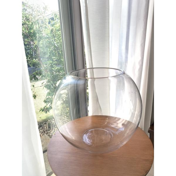 テラリウム容器の中でも、ある程度の大きさがあり、程よく成長後のBegoniaなども、しっかり収めることが出来る大きさsize　口径17cm高さ20cm別売のボタニカルソイルもご利用ください（2袋お求めいただきますとテラリウムが完成します）