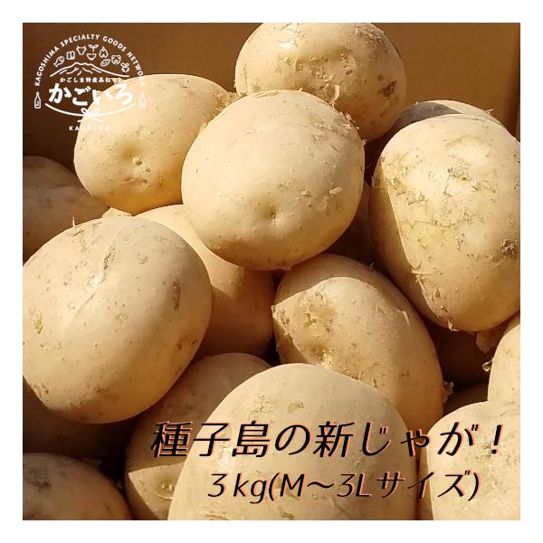 ご注文受付期間：令和８年５月１０日（日）迄※お届け指定日は承ることができません。順次発送となりますのでご了承の上ご注文くださいますようお願いいたします。一足早い春の【新・じゃがいも】は、いかがですか？種子島安納地区の温暖な気候の下、土づくり...
