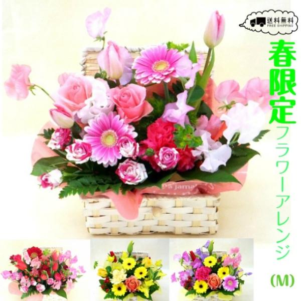 ■　こちらの商品はMサイズです■　サイズ　高さ25センチ 幅27センチ　商品と一緒に金額がわかる納品書、明細書、領収書、 請求書等はお送りしません。 ■　北海道・沖縄は配送していません。 　　関東・東海・信越・北陸・九州地方は午前中指定でき...