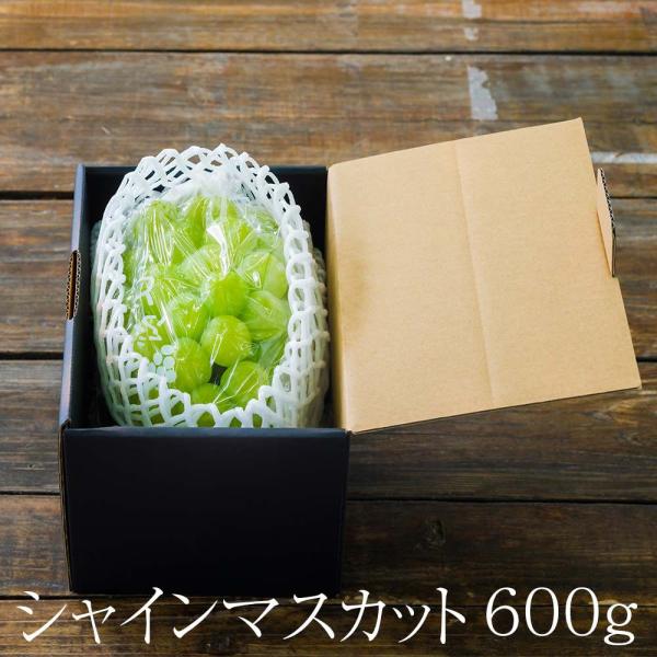 完熟した朝採りのシャインマスカットをお届けいたします。鮮度や甘さも高く、皮ごと種なしの為食べやすくなっております。マスカット香を楽しみながらお召し上がりください。