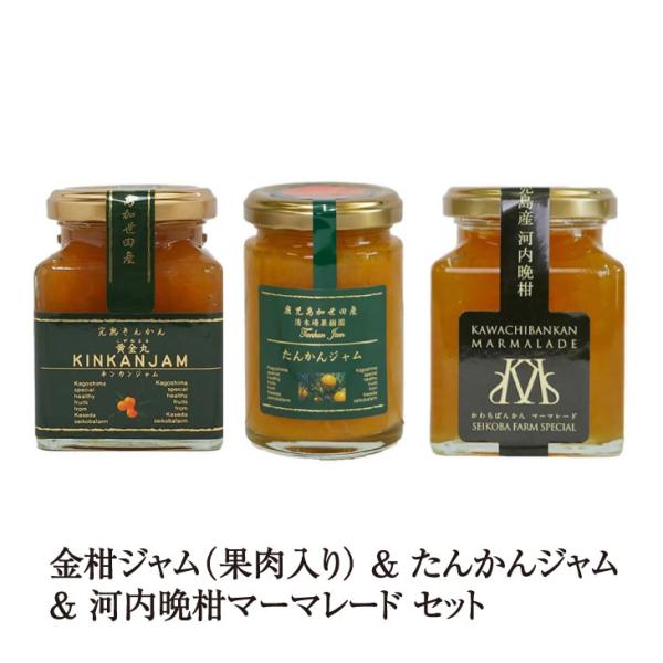 金柑ジャム（果肉入り） &amp; たんかんジャム &amp; 河内晩柑マーマレード セット 180g &amp; 150g &amp; 180g 3個入 金柑 柑橘 フルーツ 使い切り 国産 九州産 鹿児島産 送料無料 清木場果樹園 かごしまや