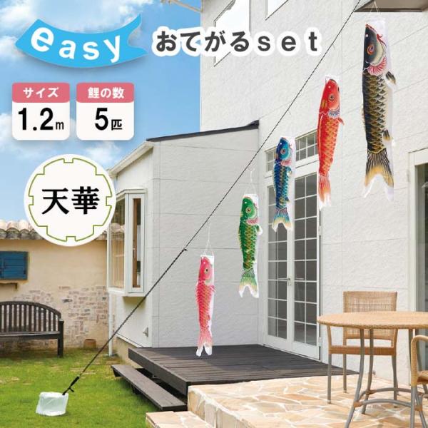 鮮やかな発色と和の風合いが特徴のポリエステルちりめん生地を使用しています。天泳ぐ華やかな鯉のぼり「天華」。【セット内容】　※鯉のぼりは5匹になります　黒鯉1.2ｍ　　赤鯉0.9ｍ　　青鯉0.8ｍ　緑鯉0.8ｍ　ピンク鯉0.8ｍ　ロープ8ｍ（...