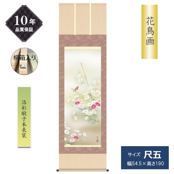 【秋桜】■尺五　秋桜■作者　北山　歩生（三美会）■表装　洛彩緞子本表装サイズ：巾54.5×長さ190（cm）本紙：新絹本軸先：陶器○桐箱畳紙収納○表装品質十年間保証付き（経年劣化や、お客様のお取り扱いによる 折れ、シワなどは対象外となります...