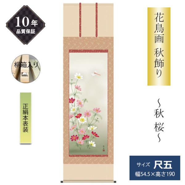 か細い茎を精一杯天へと伸ばし、秋風に吹かれながらもたくましく咲く秋桜。可憐な花姿の中に秘めた強い生命力と自然の息吹を感じる作品です。■尺五　秋桜■作者　長江桂舟（三美会）■表装　正絹本表装　筋廻し仕様　　サイズ：巾54.5×長さ190（cm...