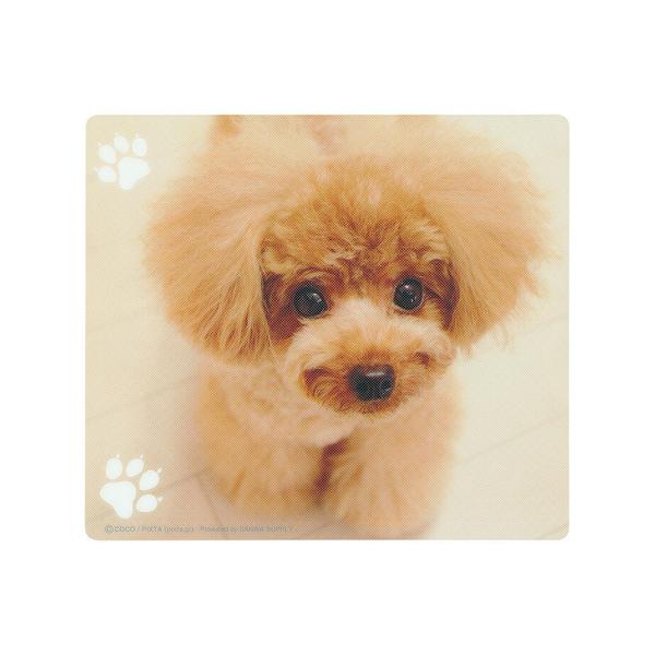 マウスがスムーズ、SmooZoo。■サイズ:W170×D150×H0.6mm■材質:表面/再生PET(ポリエチレンテレフタレート)裏面/低粘着ドット加工■写真品種説明:品種名/ティーカッププードル原産/フランス幼犬のときに紅茶カップ(ティー...